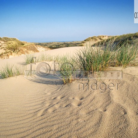 Dünen, Strand und Meer - das ist Sylt - Foto Mager
