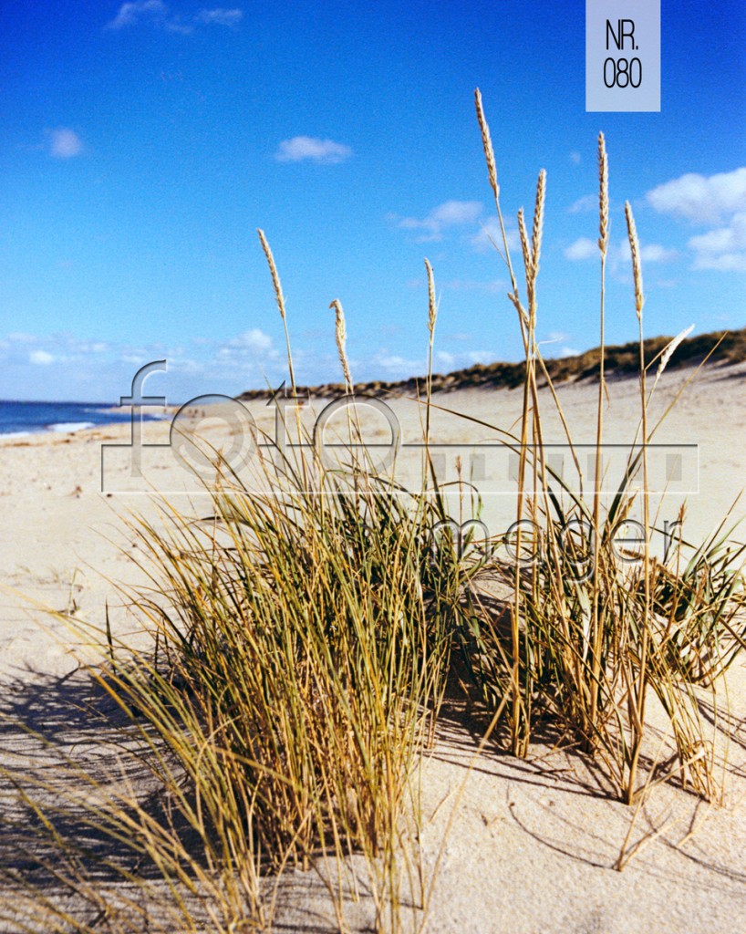 Dünen, Strand und Meer - das ist Sylt - Foto Mager