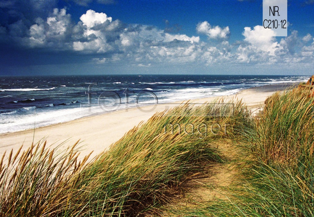Dünen, Strand und Meer - das ist Sylt - Foto Mager